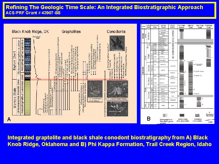 Refining The Geologic Time Scale An Integrated Biostratigraphic