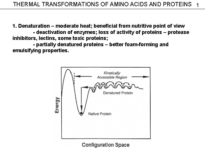 THERMAL TRANSFORMATIONS OF AMINO ACIDS AND PROTEINS OBJECTIVES