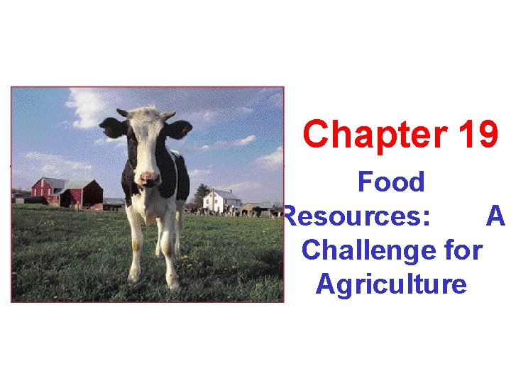 Chapter 19 Food Resources A Challenge for Agriculture