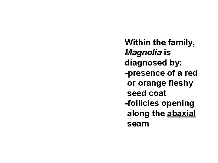 The ANITA grade and the Magnoliid Complex Spring