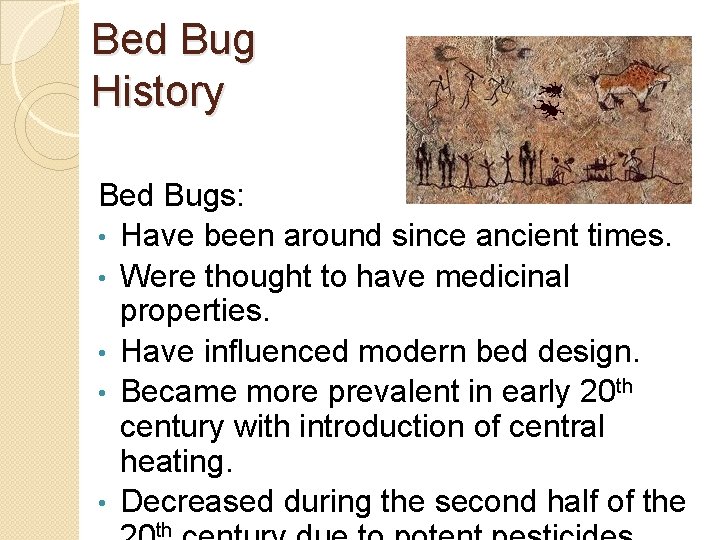 BED BUGS 101 El Paso County Public Health