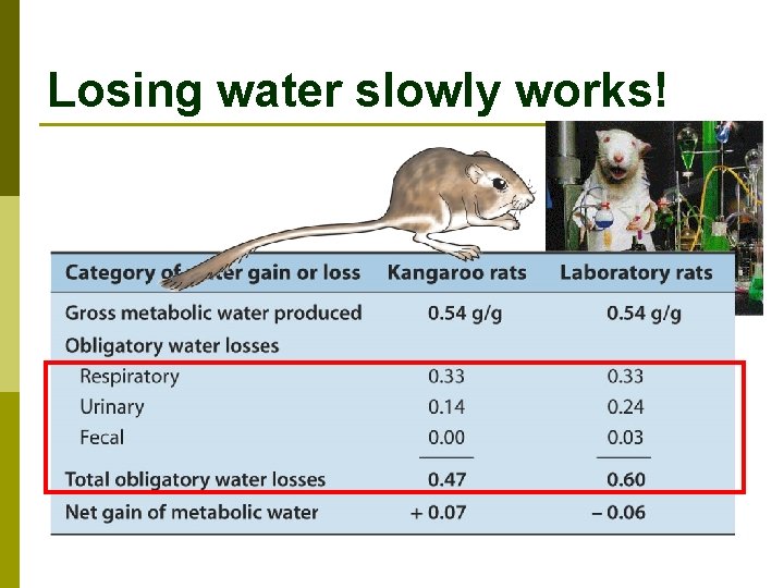 Biology 2672 a Comparative Animal Physiology Water balance