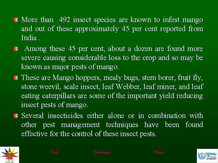 Pesticide Use in Mango IPM Next Background Quite
