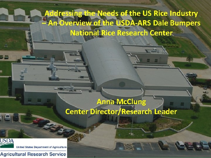 Addressing the Needs of the US Rice Industry
