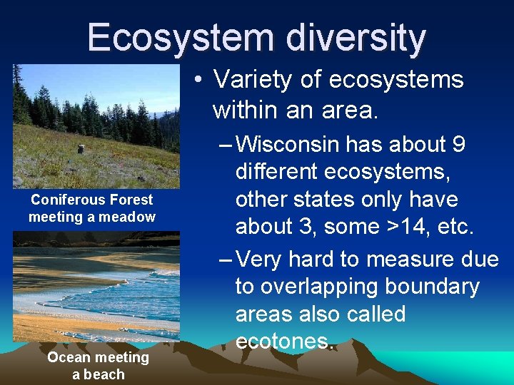 Biodiversity Notes Short for Biological Diversity What does