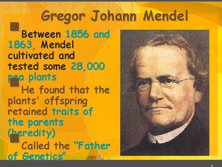 Mendelian Genetics 1 Gregor Mendel 1822 1884 Responsible