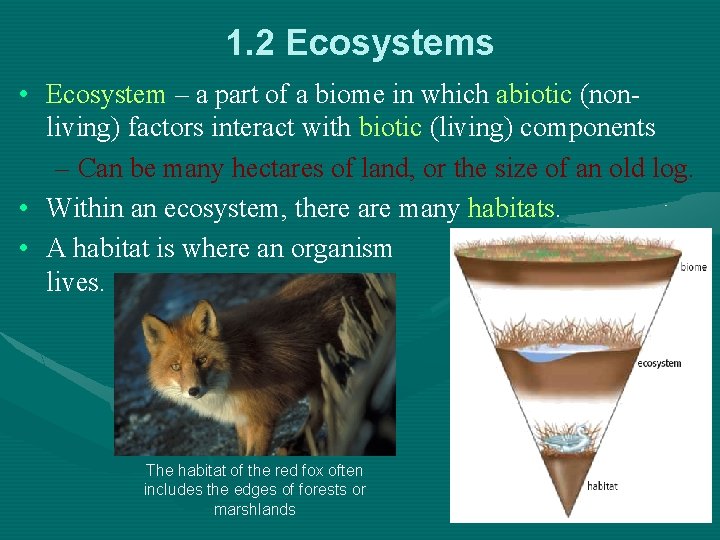 1 2 Ecosystems Ecosystem a part of a
