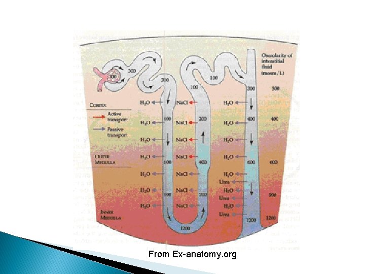 My life Our Lessons Timothy Cordes Ph D