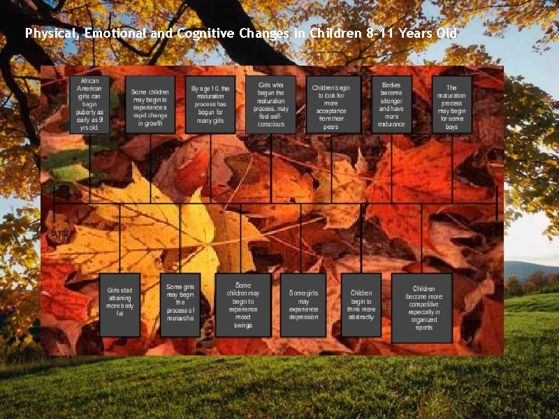 Physical Development in Adolescent Children A Timeline of