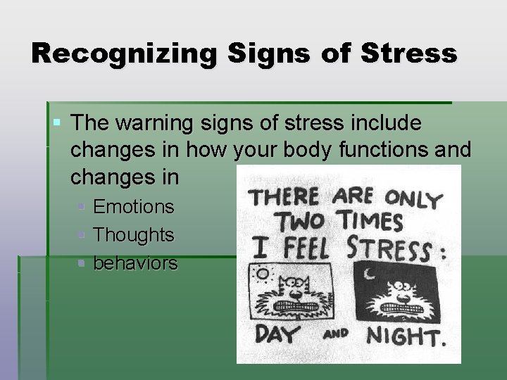 How Stress Affects Your Body Ch 3 Section