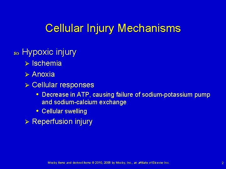 Chapter 2 Altered Cellular and Tissue Biology Mosby