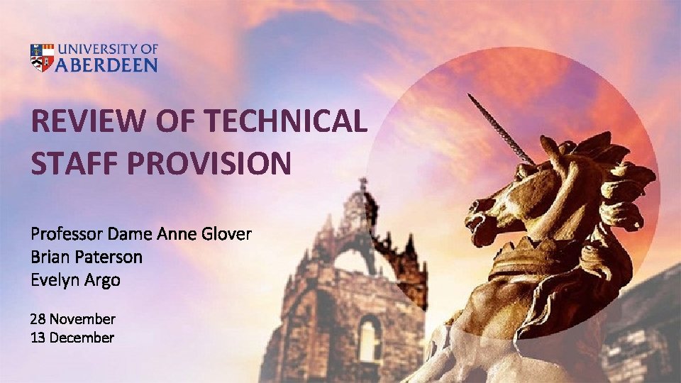 REVIEW OF TECHNICAL STAFF PROVISION Professor Dame Anne