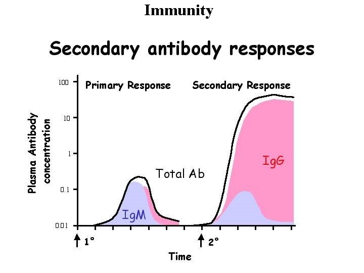 6 3 3 Outline the role of skin