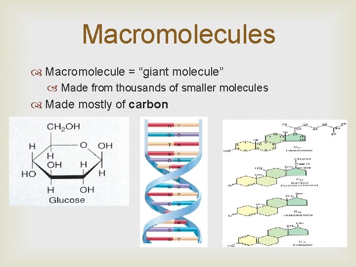Biochemistry THE CHEMISTRY OF LIFE Chemistry I thought