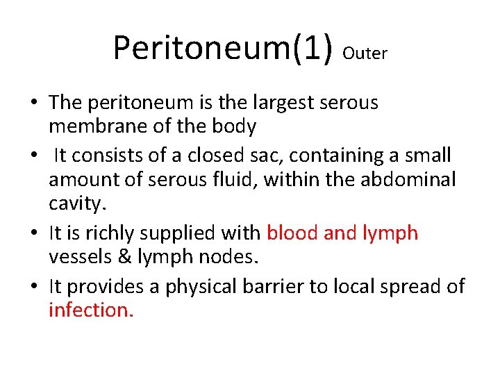 Digestive system Presented by Mirza Salman Baig Faculty