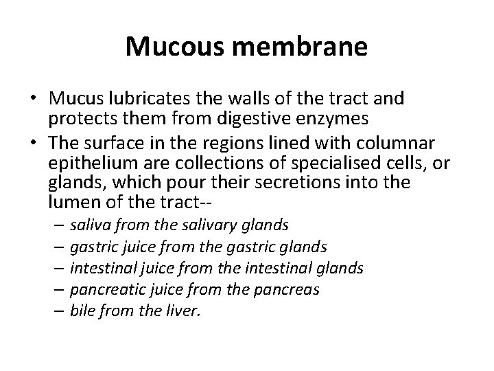 Digestive system Presented by Mirza Salman Baig Faculty