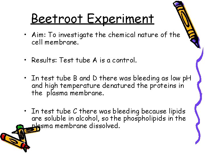 Absorption and Secretion Learning Outcomes Identify the structure