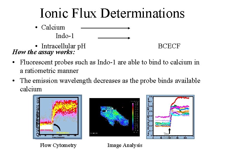 Purdue University Cytometry Laboratories Functional assays Principles and