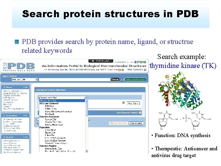 Tutorials for protein data bank and swiss PDB