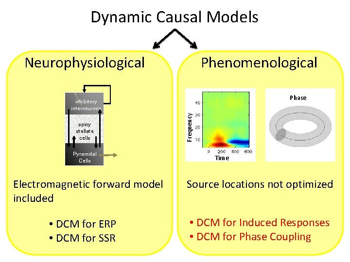 DCM for TimeFrequency 1 DCM for Induced Responses