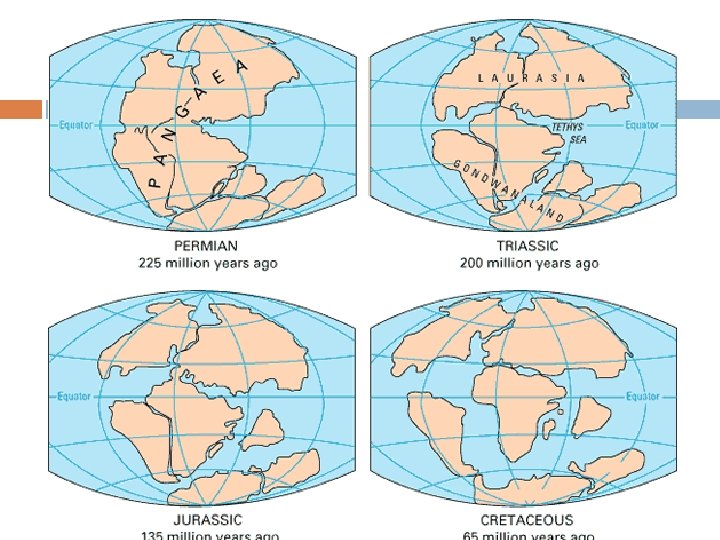 CONTINENTAL DRIFT AND PLATE TECTONICS The Onion Earth