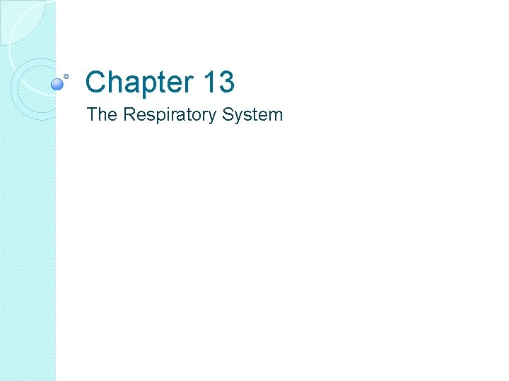 Chapter 13 The Respiratory System Organs of the