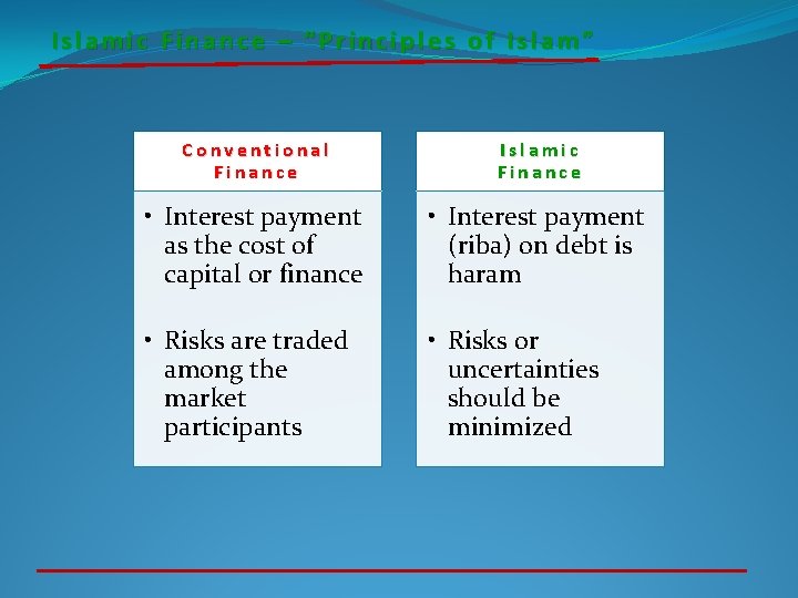 PARTICIPATION BANKS IN THE FINANCIAL SYSTEM OF TURKEY