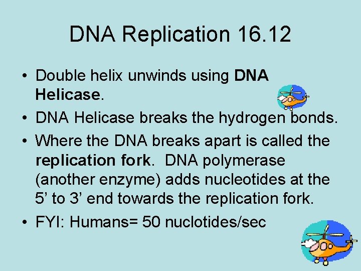 DNA Protein Synthesis Chapter 18 The Molecule of