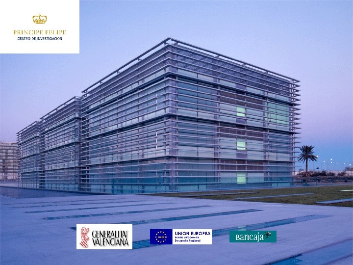 CAMDA becomes itinerant CAMDA 07 Valencia Spain CAMDA