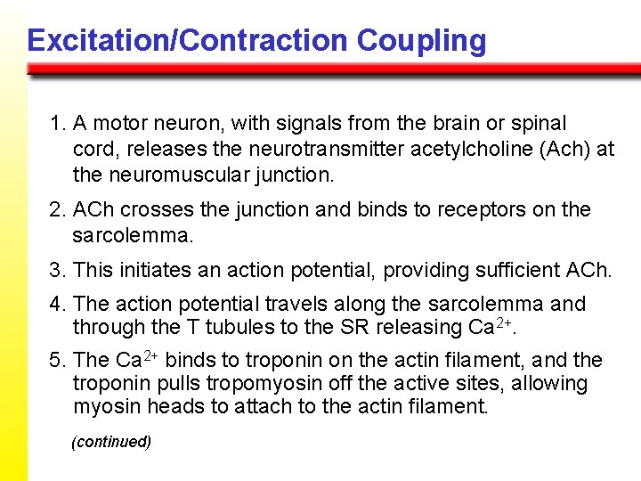 MUSCLES AND HOW THEY MOVE Learning Objectives w