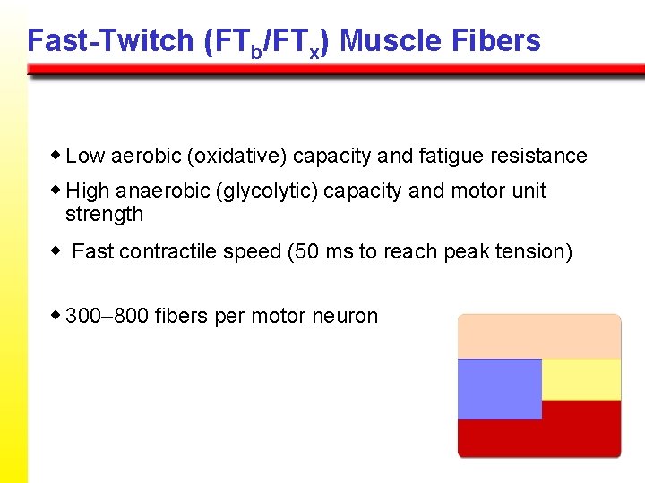 MUSCLES AND HOW THEY MOVE Learning Objectives w