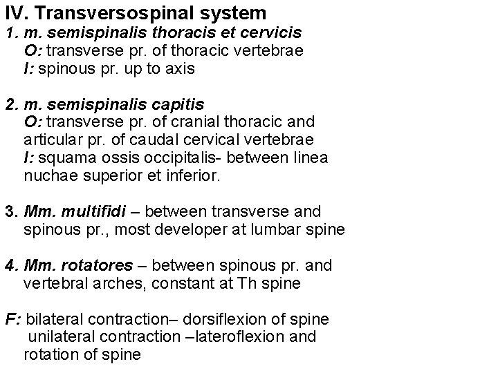 Muscles of back abdomen inguinal canal Muscles of