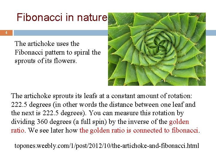 Fibonacci Leonardo Pisano 1170 1240 Statue in Pisa