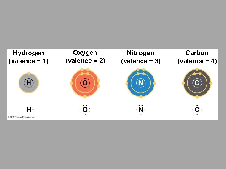 CH 4 Carbon Compounds Carbon is the backbone