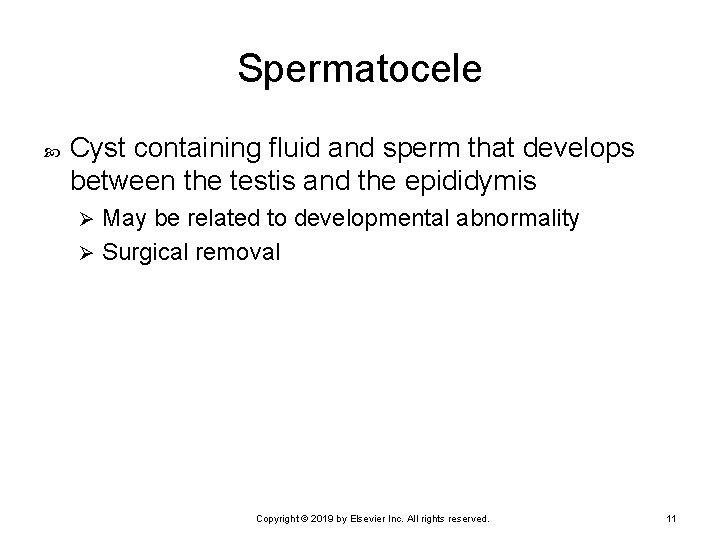 Chapter 19 Reproductive System Disorders Copyright 2019 by