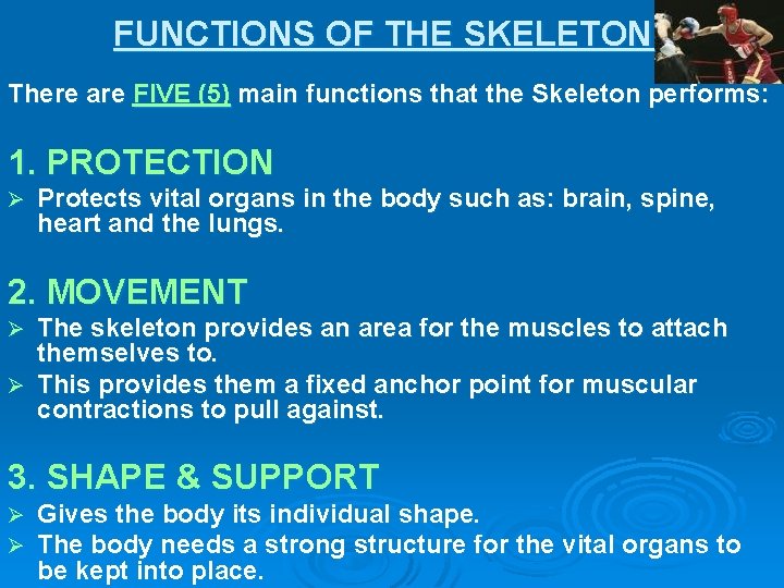 SKELETAL SYSTEM Lesson 1 PT 1 BTEC PE