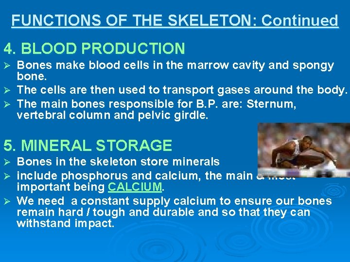 SKELETAL SYSTEM Lesson 1 PT 1 BTEC PE