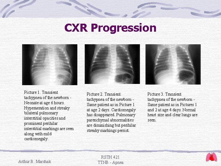 Loma Linda University School of Allied Health Professions