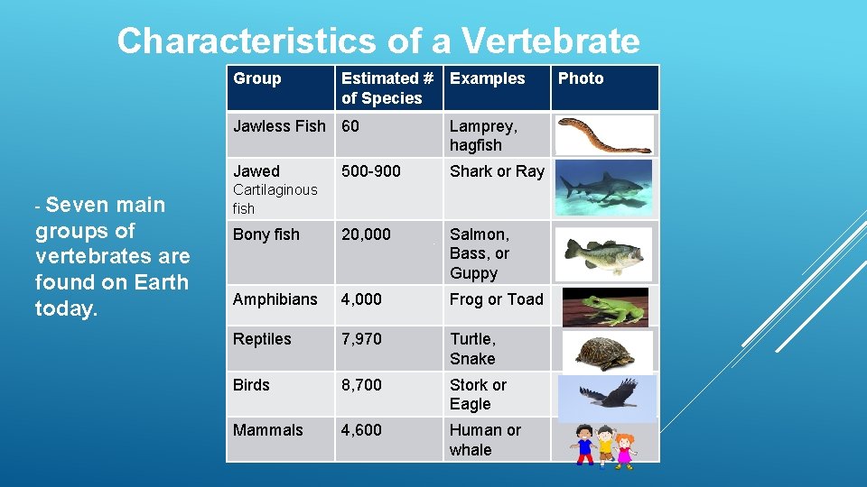 CHAPTER 14 NOTES Fish Amphibians and Reptiles Section