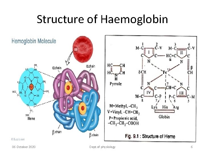 Haemoglobin 06 October 2020 Dept of physiology 1