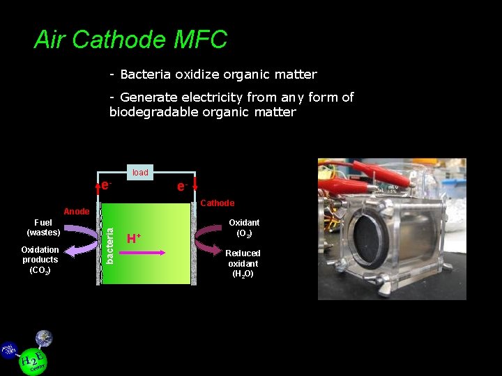 Hydrogen and electricity production using microbial fuel cellbased