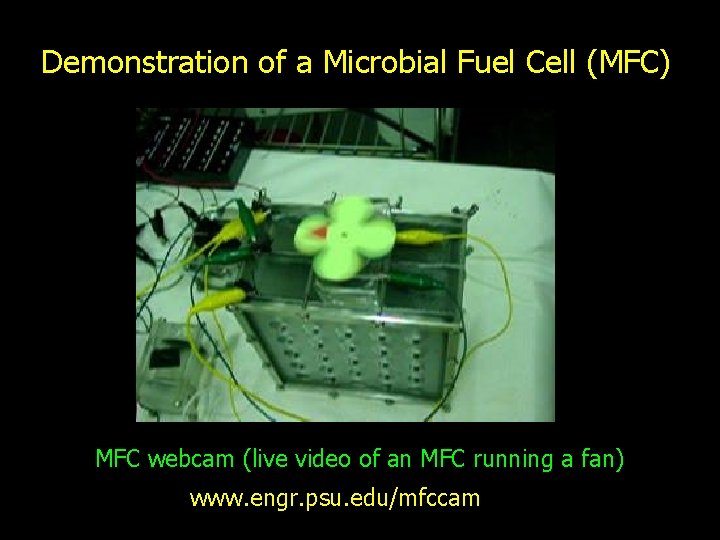 Hydrogen and electricity production using microbial fuel cellbased