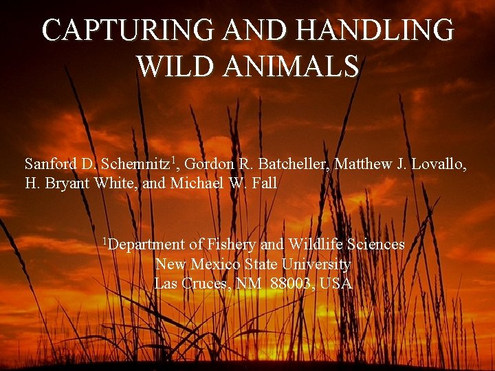 CAPTURING AND HANDLING WILD ANIMALS Sanford D Schemnitz