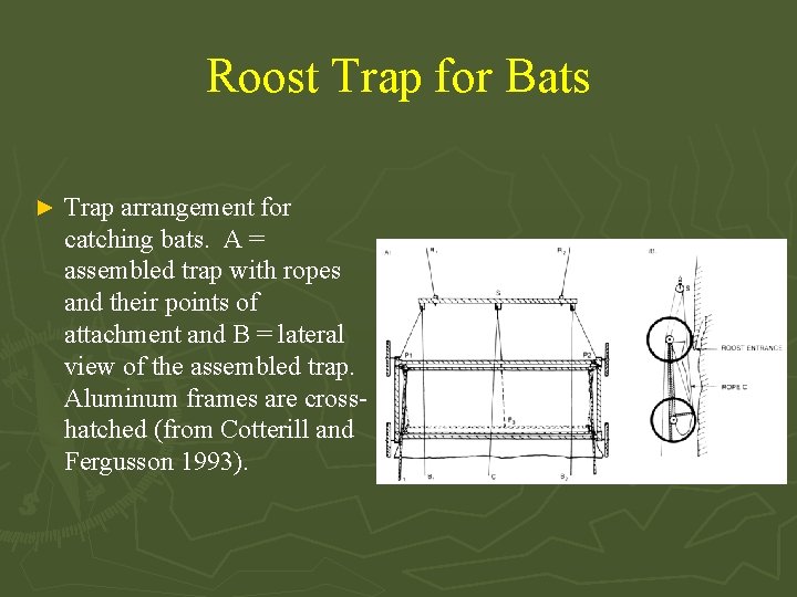 CAPTURING AND HANDLING WILD ANIMALS Sanford D Schemnitz