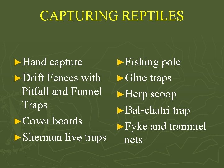 CAPTURING AND HANDLING WILD ANIMALS Sanford D Schemnitz
