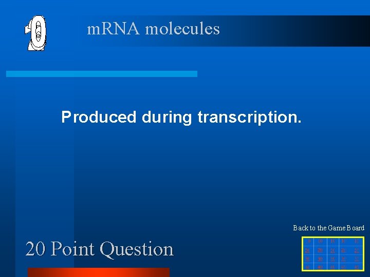 Jeopardy Start DNA RNA Protein Synthesis Random II