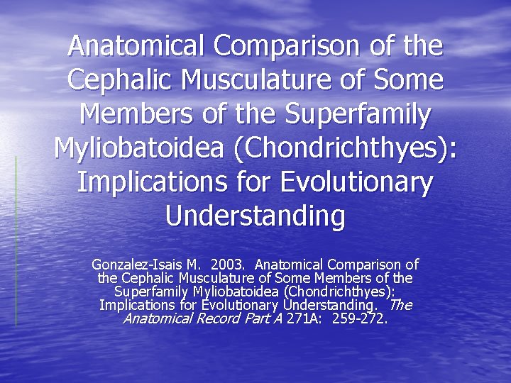 Anatomical Comparison of the Cephalic Musculature of Some