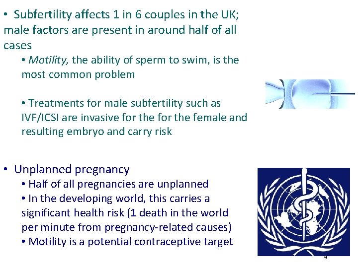 Mathematical modelling in biomedical fluid dynamics Dr David