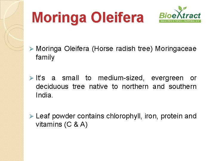 HEALTHY LIVING NATURALLY Moringa Oleifera Moringa Oleifera Horse