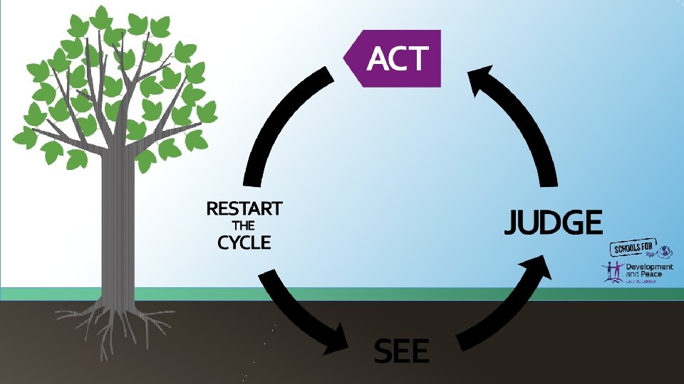 SEE JUDGE ACT HOW SHOULD WE RESPOND How